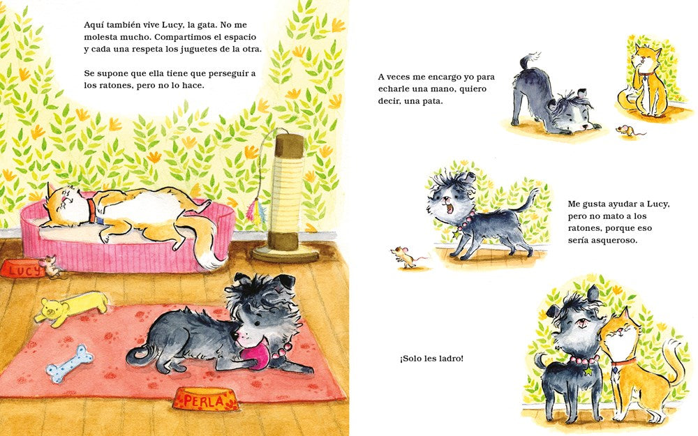 Perla, la súper perrita